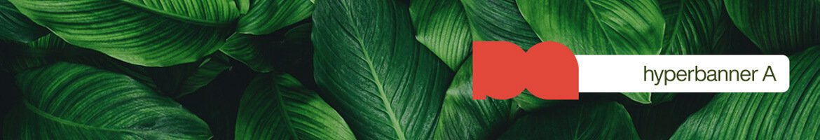 Homepage [guiabts.com.br]